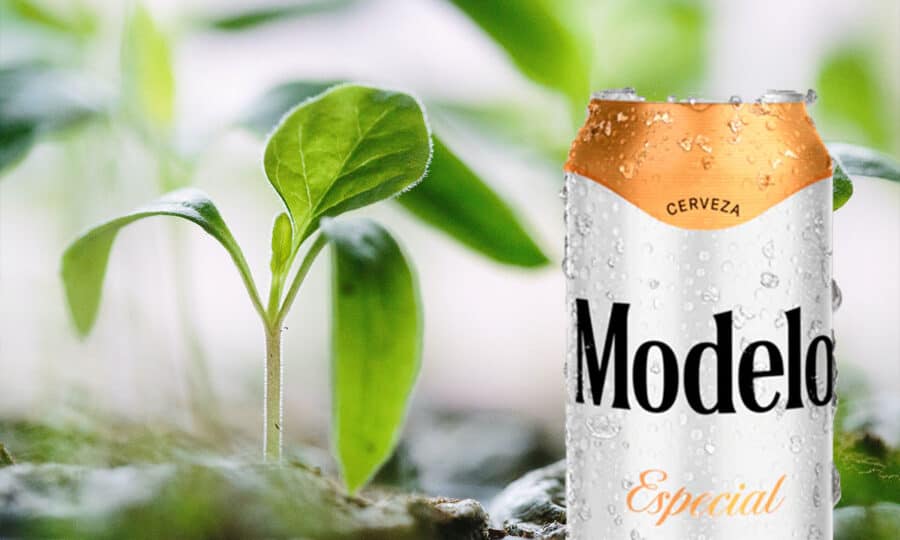 ¿Cuáles son las acciones de sustentabilidad de Grupo Modelo?