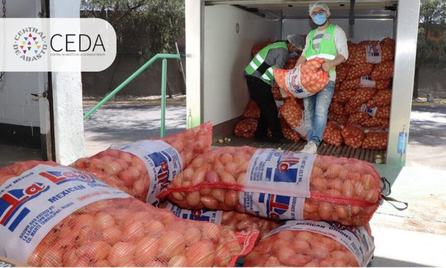 ¿Cómo está organizada la Central de Abasto?