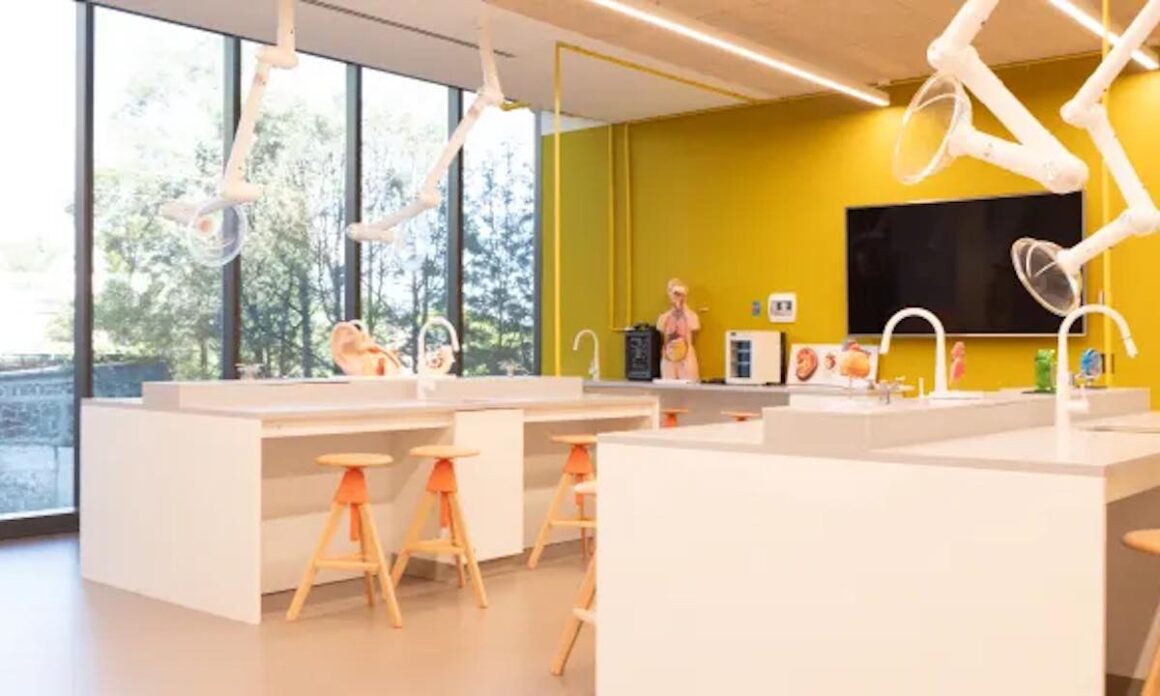 Humanitree: Características, costos, y requisitos de la escuela de ...