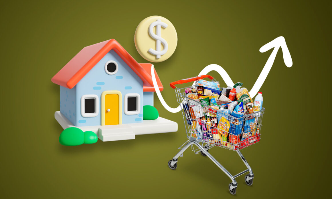 Repunta el consumo y retrocede la inversión durante noviembre