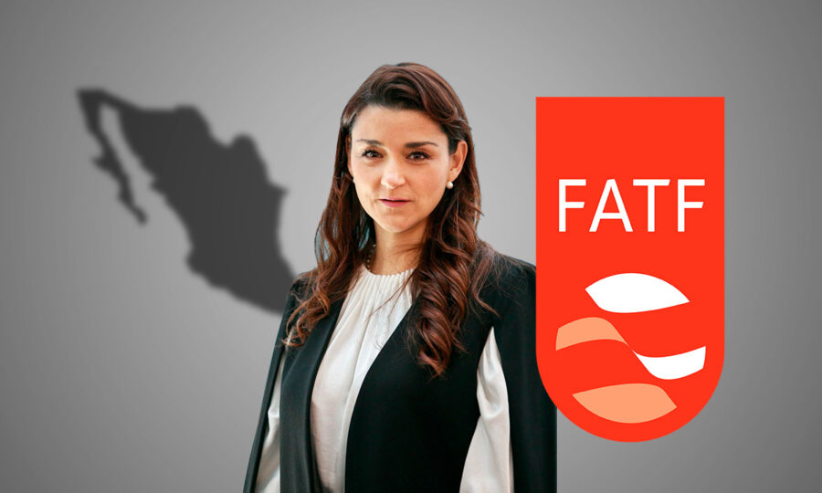 Eligen a mexicana Elisa de Anda Madrazo como presidenta del GAFI