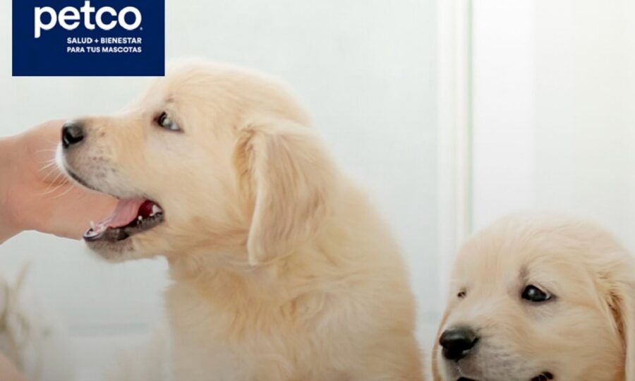 ¿Quién es el dueño de Petco en México?