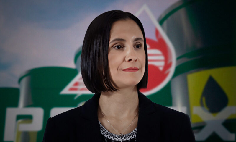 Qué Estudió Luz Elena González La Encargada De Salvar Pemex
