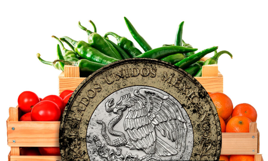 Inflación de bienes básicos 'toma un respiro' en la primera mitad de ...